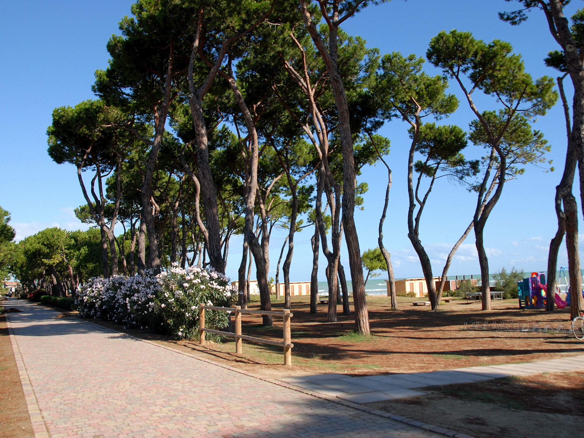 Pineto - Abruzzo - AZZURRO, opravdový specialista na dovolenou v Itálii