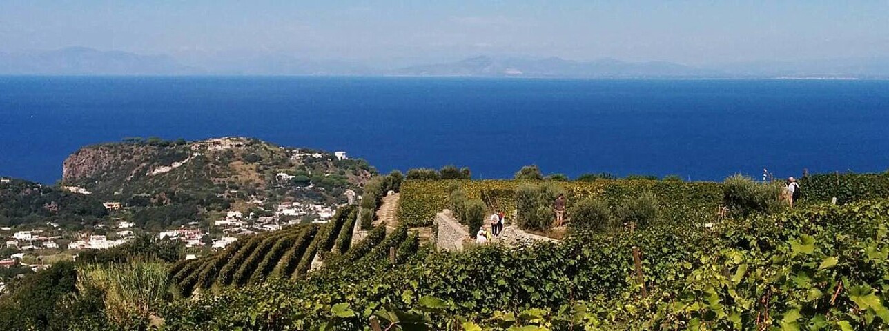 Dovolená v Panza Léto 2026 - ostrov Ischia - Azzurro Dovolená v Itálii